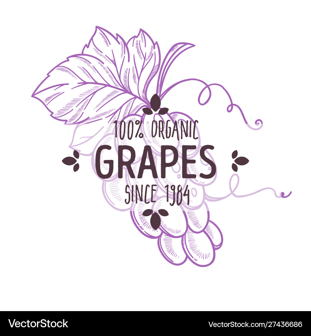 100 percent organic grapes label with flavourful Vector Image