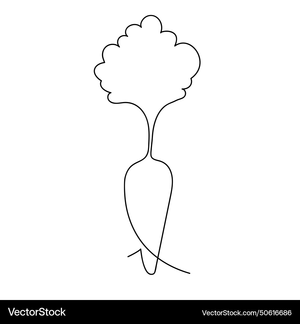 Carrot continuous one line drawing Royalty Free Vector Image