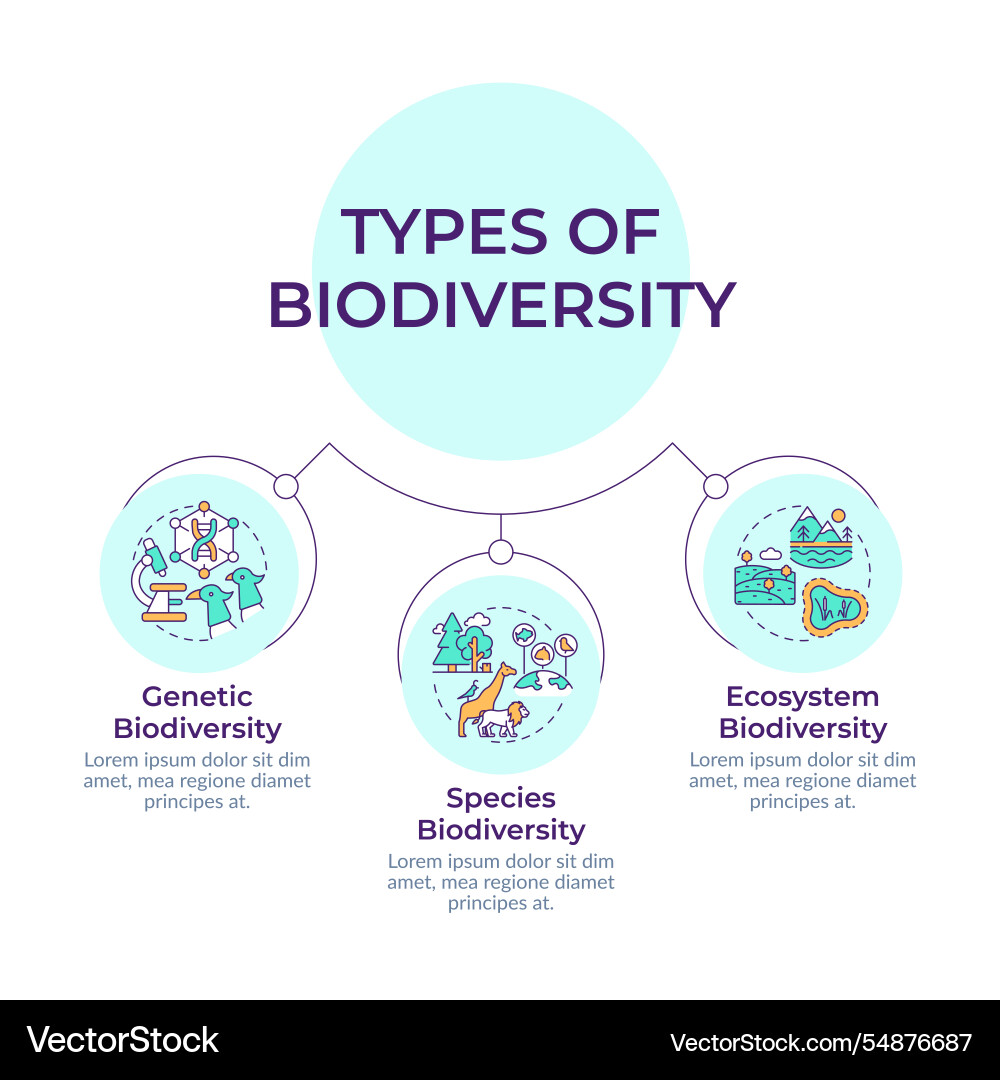 Types of biodiversity circular diagram infographic