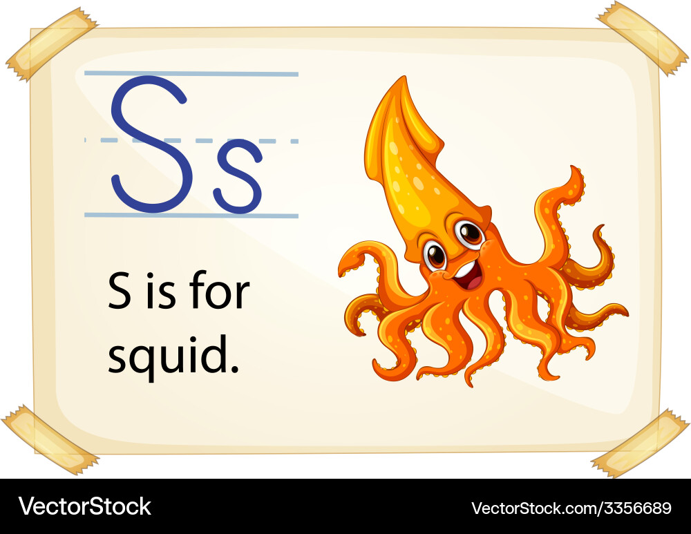A letter s for squid Royalty Free Vector Image