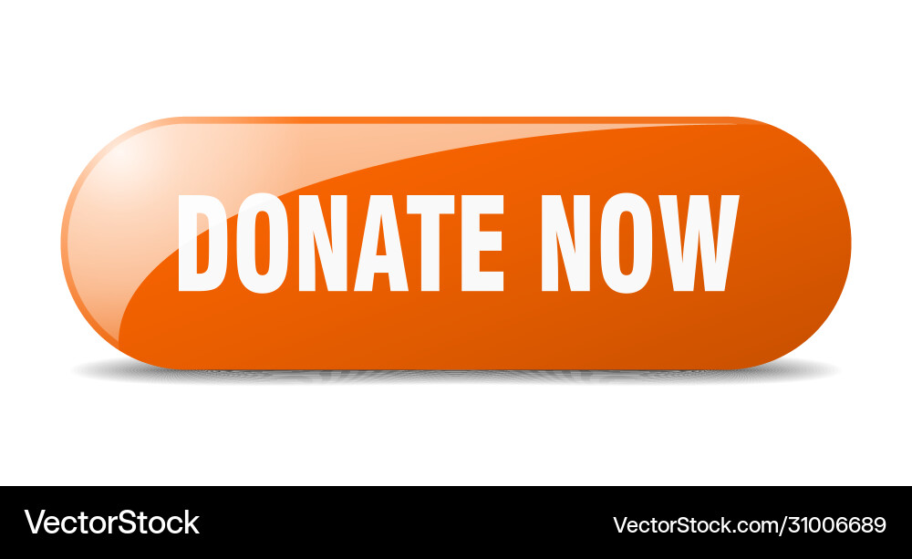 Donate now button sign key push Royalty Free Vector Image