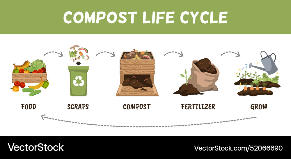 Compost raw materials life circle recycling Vector Image