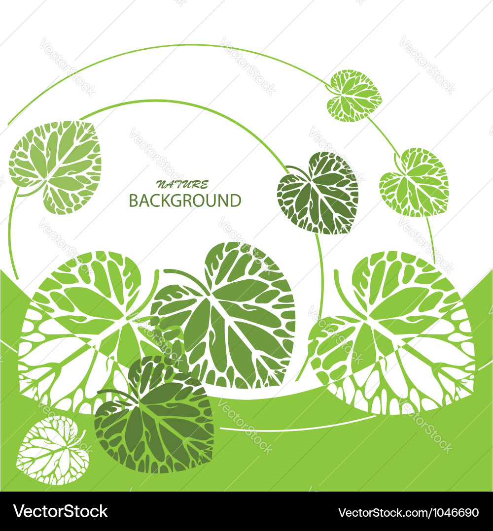 Green leaves background Royalty Free Vector Image