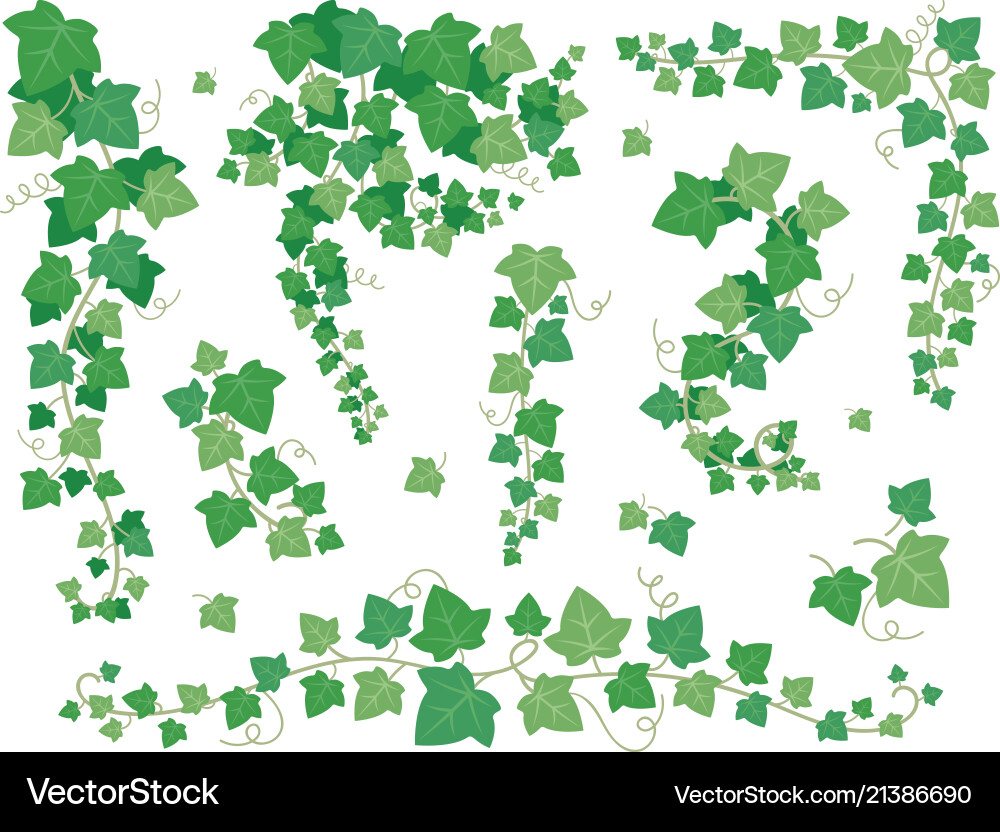 Creeper Vector Images (over 2,700)