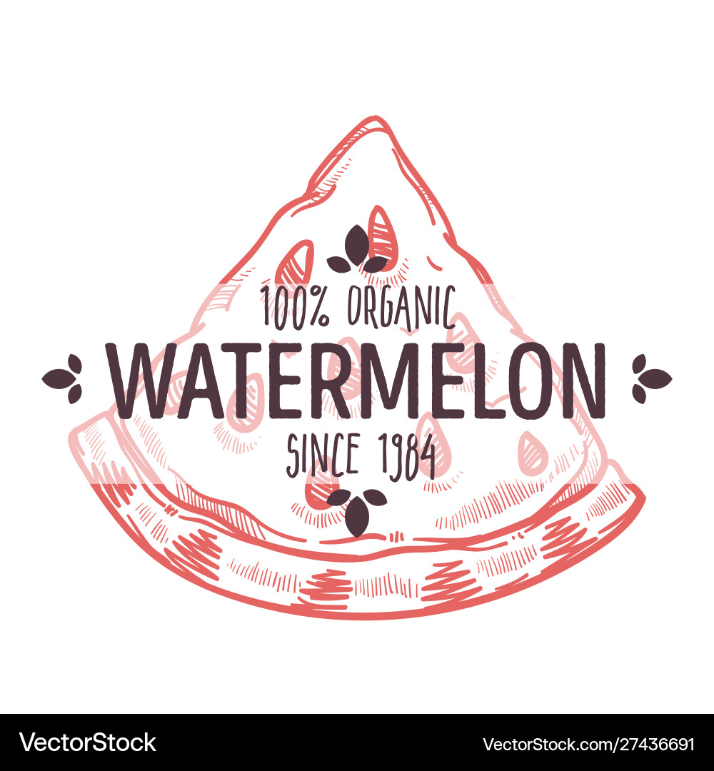 100 percent organic watermelon label with slice Vector Image
