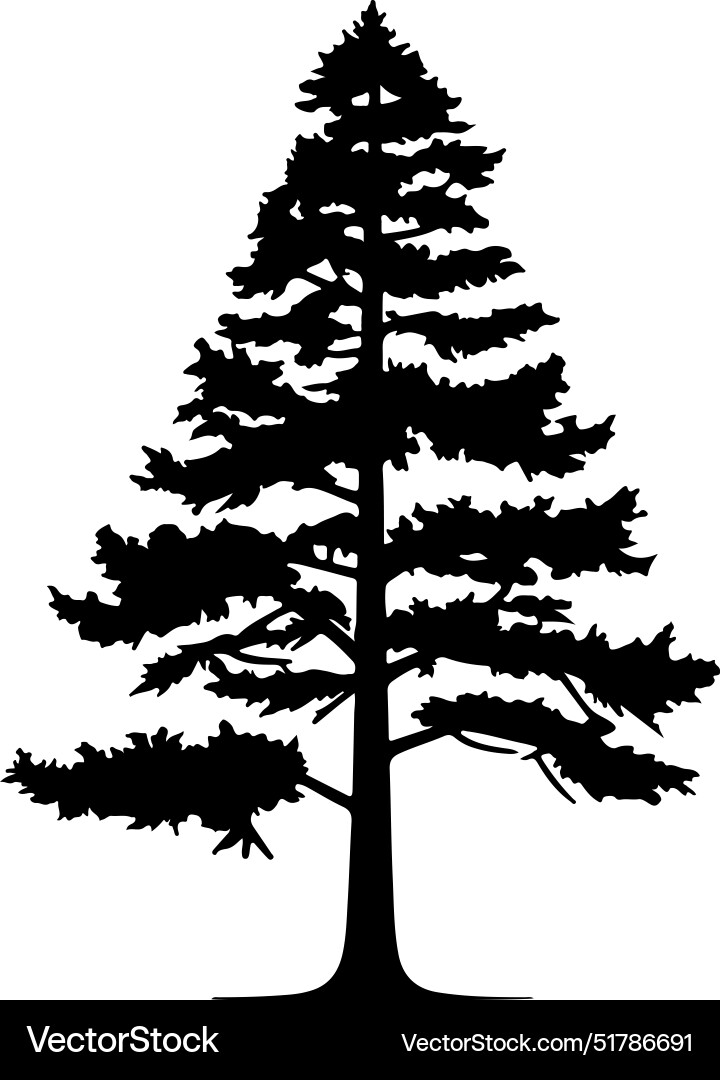 Pine tree silhouette white background Royalty Free Vector