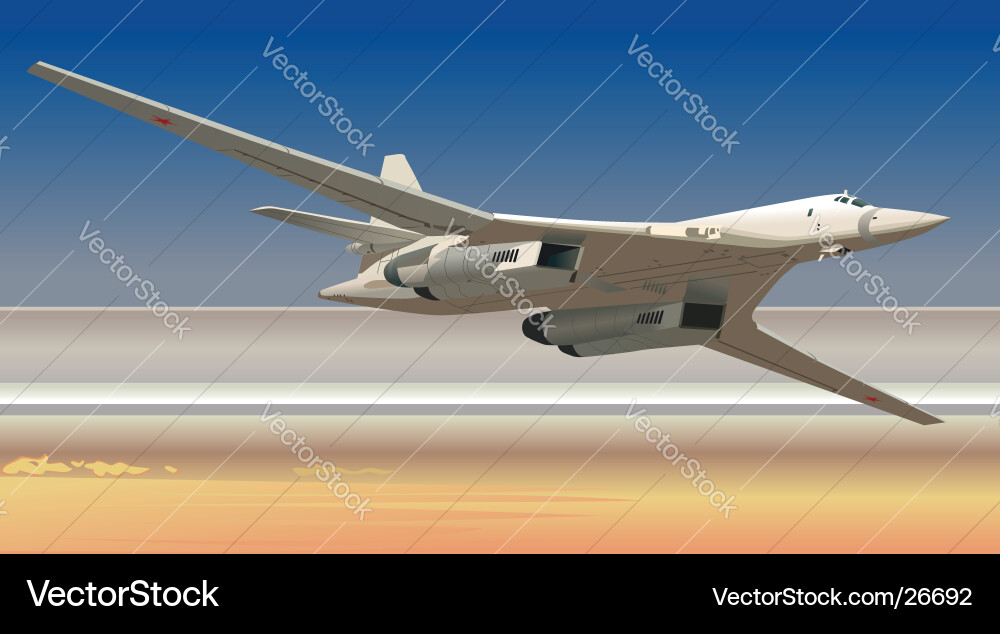 Strategic bomber Royalty Free Vector Image - VectorStock