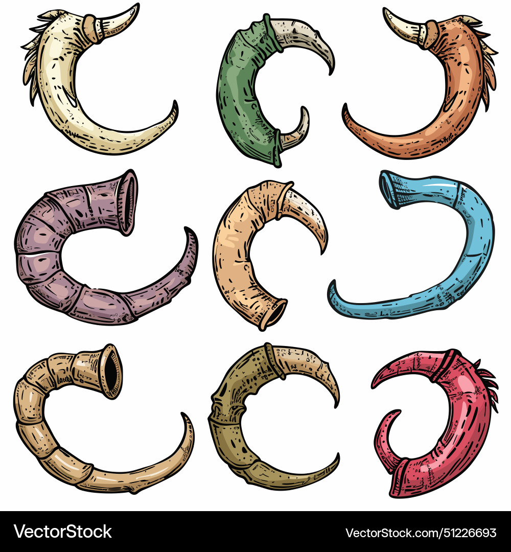 Handdrawn collection various animal horns Vector Image