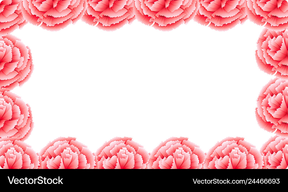 Pink carnation flower frame Royalty Free Vector Image