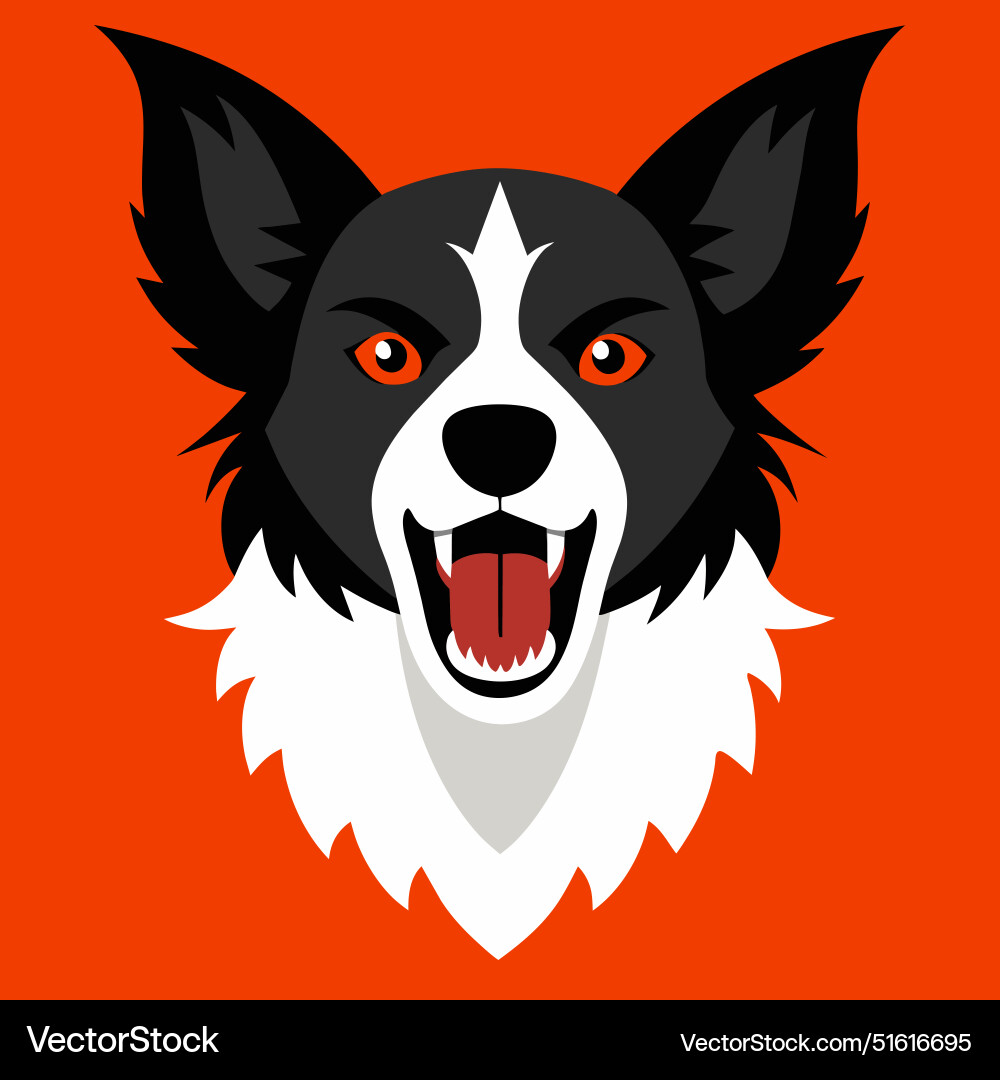Border collie dog angry icon Royalty Free Vector Image