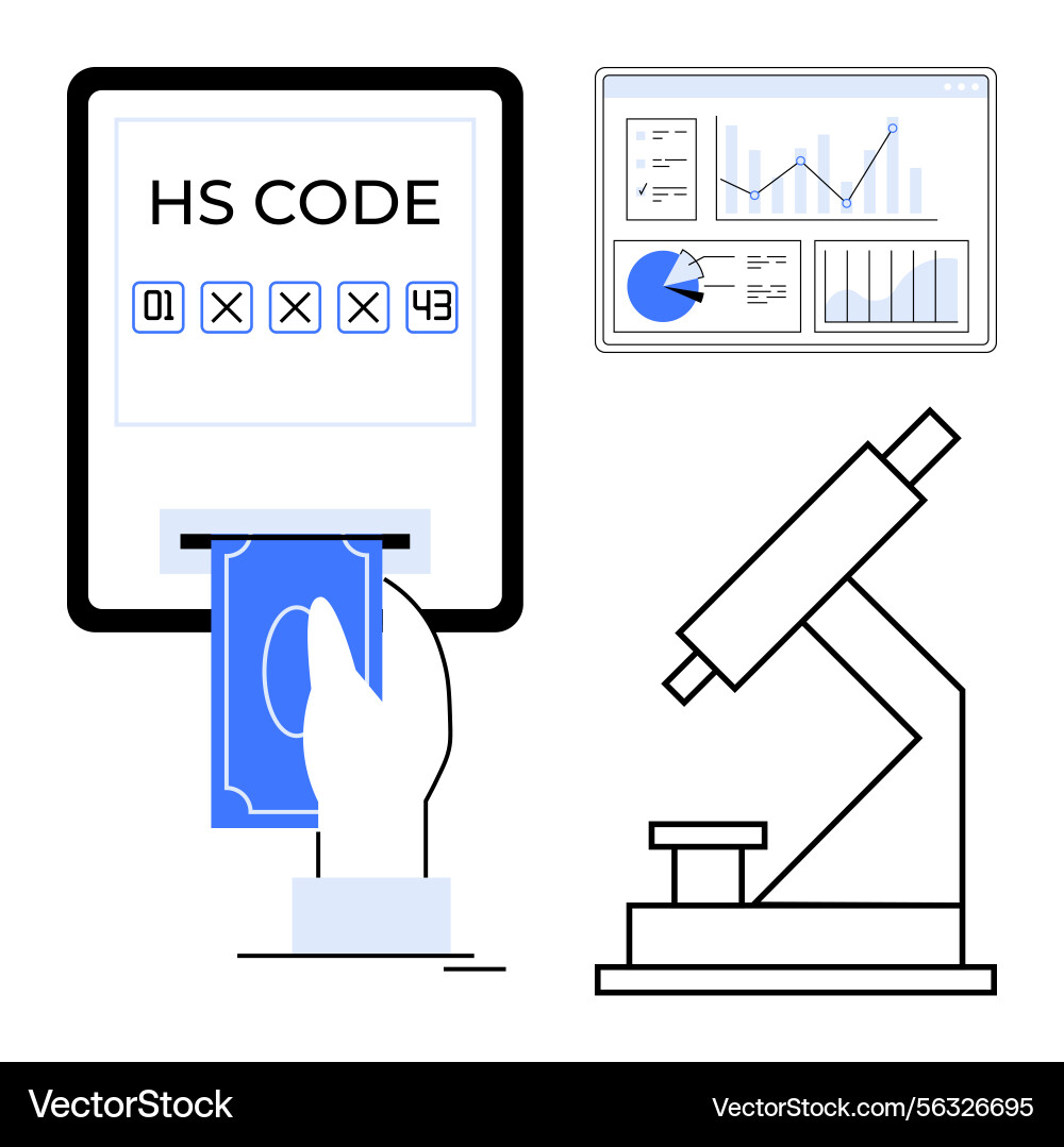 Hs code input with payment data analysis charts Vector Image
