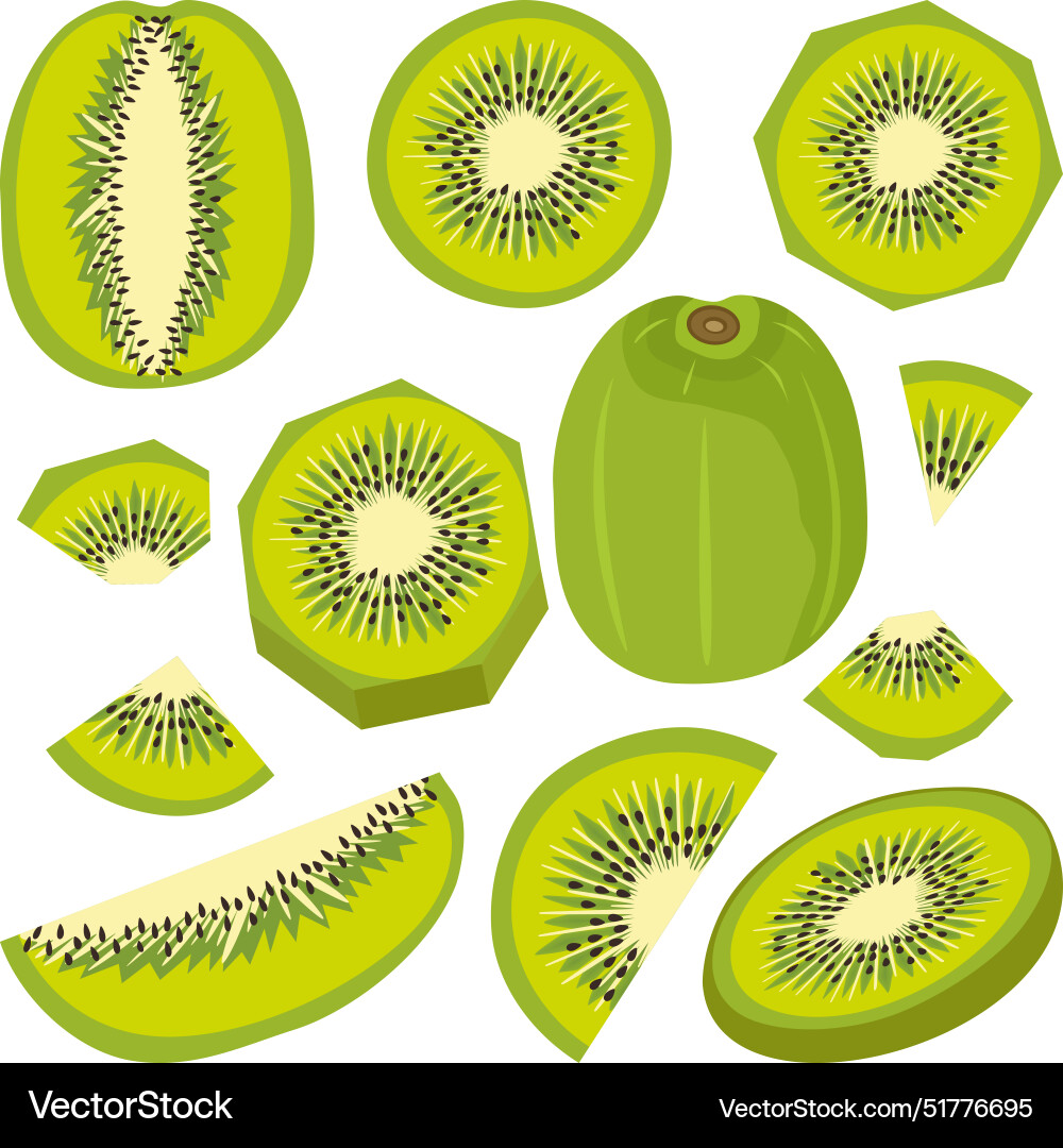 Set digital collage of cut kiwi Royalty Free Vector Image