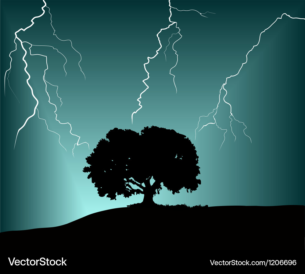 Dark Storm Tree Royalty Free Vector Image - VectorStock