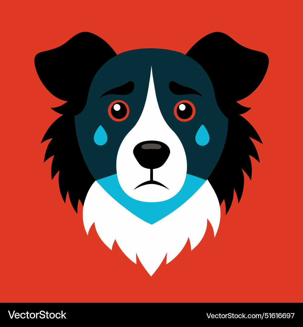 Border collie dog cries icon Royalty Free Vector Image
