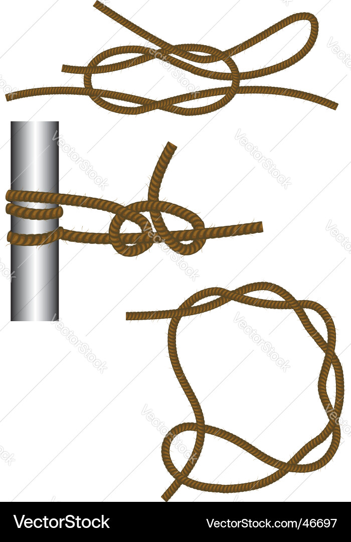 Reef knot Royalty Free Vector Image - VectorStock