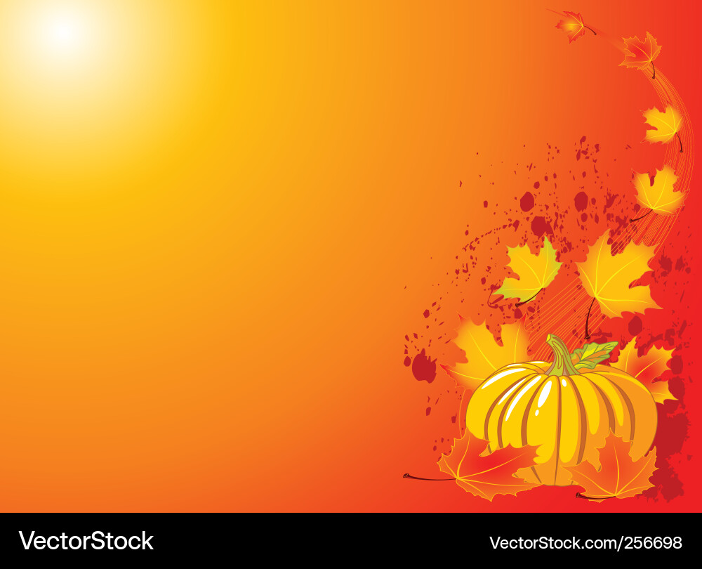 Autumn pumpkin background Royalty Free Vector Image