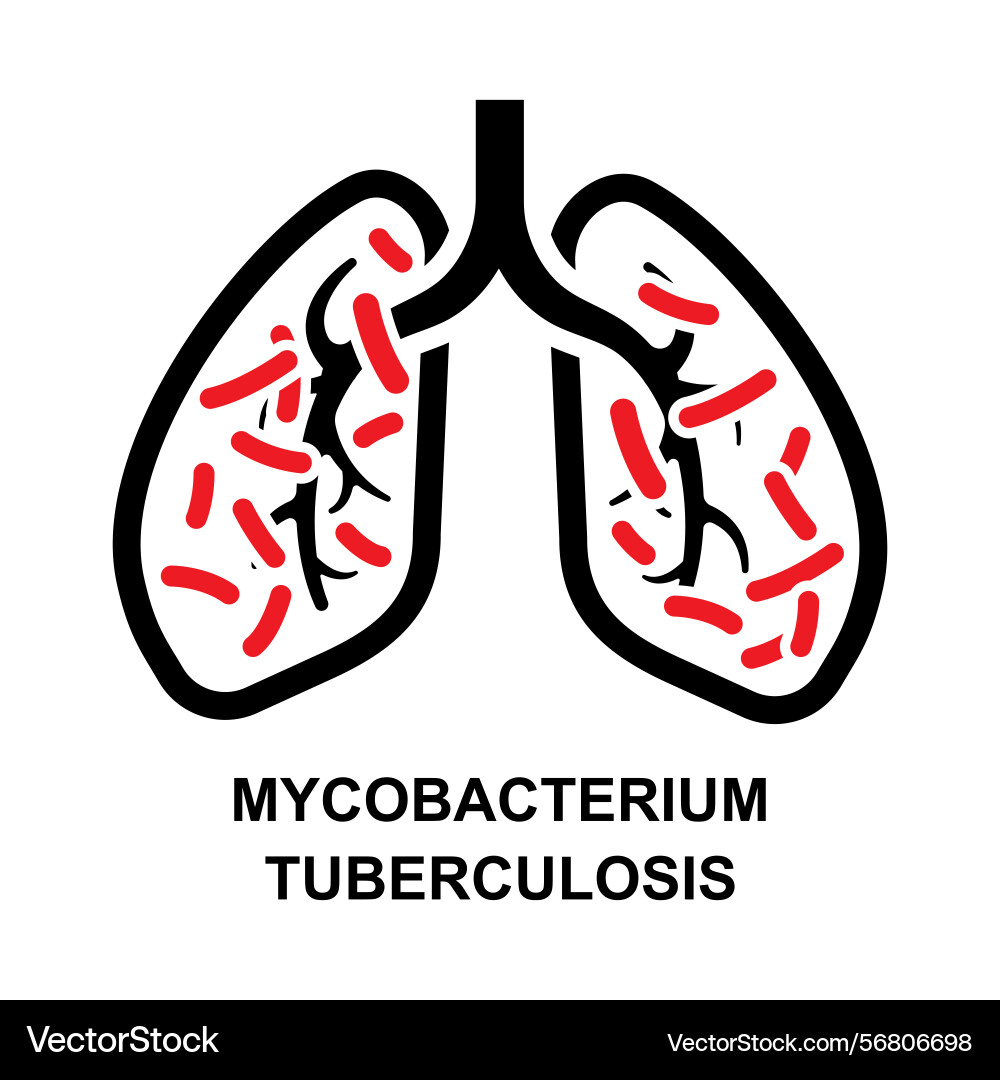 Icon tb Royalty Free Vector Image - VectorStock