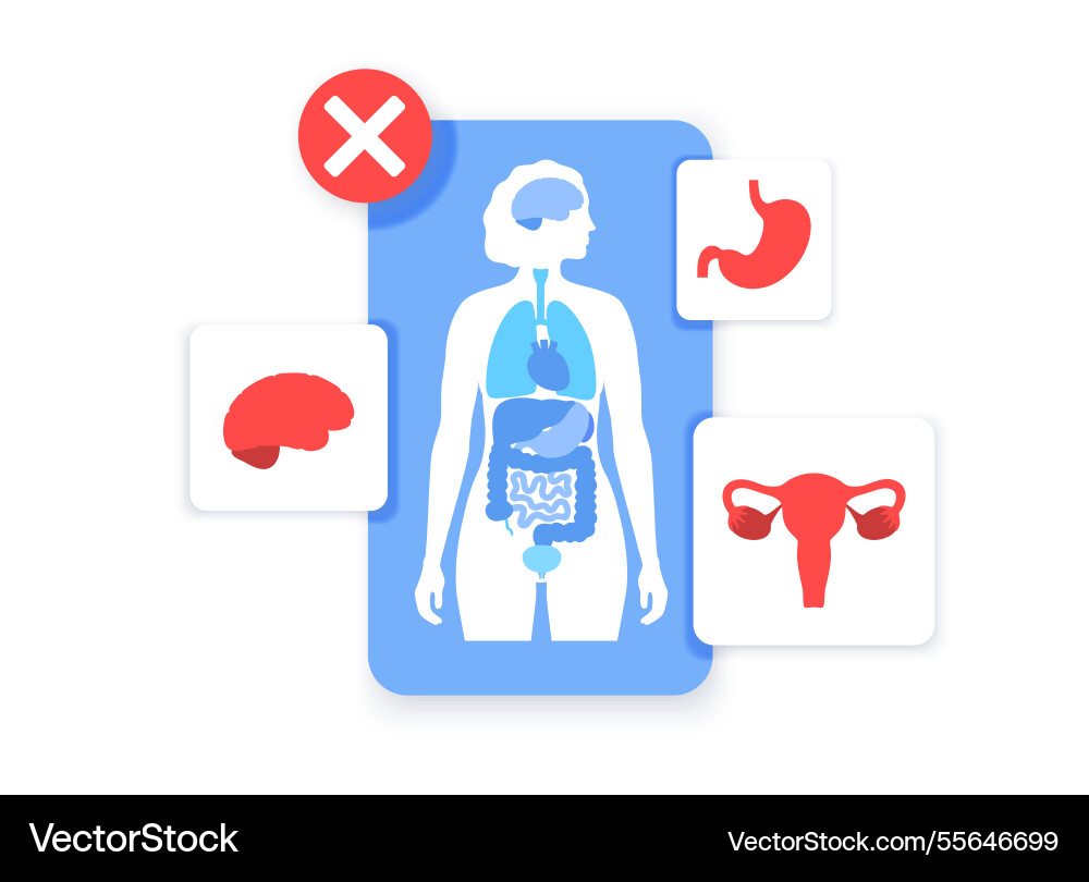 Human internal organs Royalty Free Vector Image