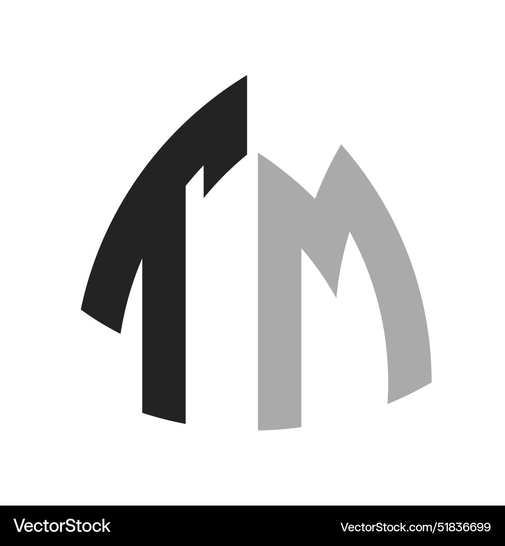 Modern creative tm logo design letter icon Vector Image