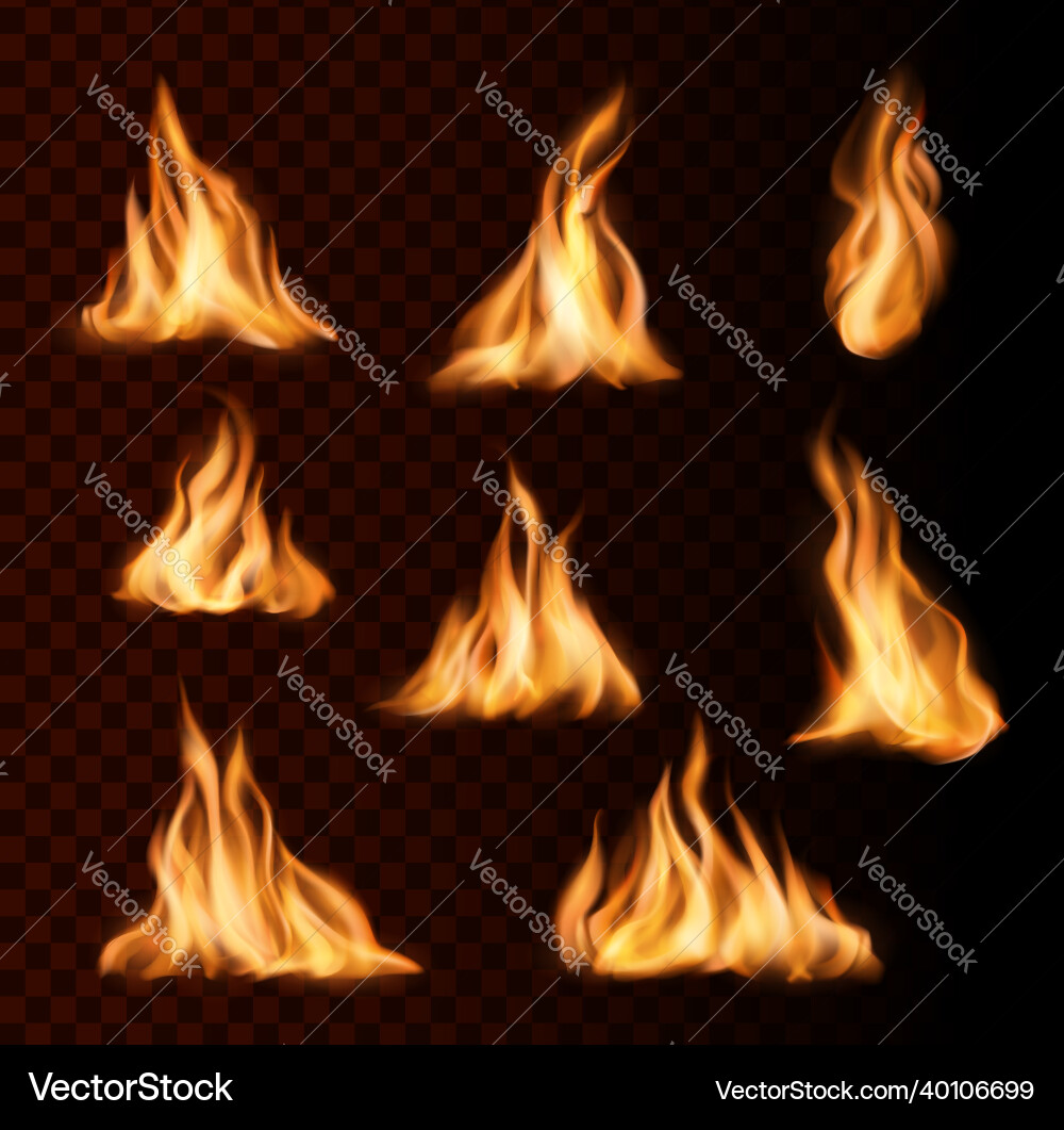 Realistic burning fire flames of bonfire Vector Image