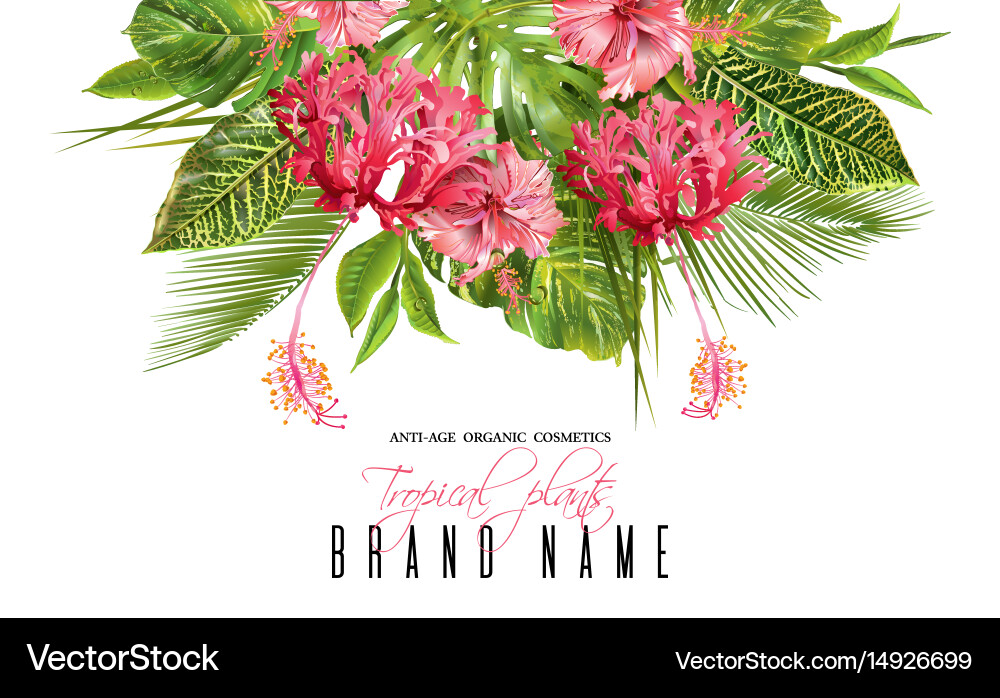 Tropical flower banner Royalty Free Vector Image