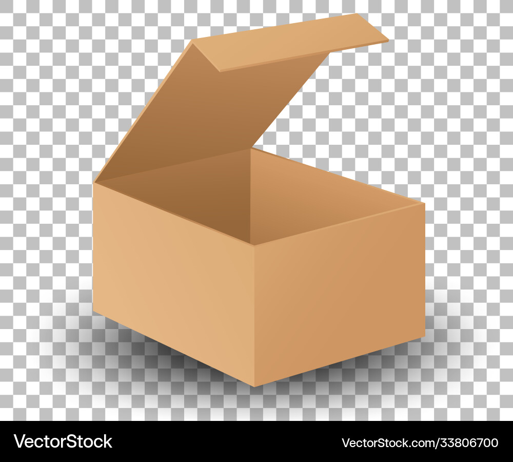 Cardboard box opened isolated cartoon style Vector Image