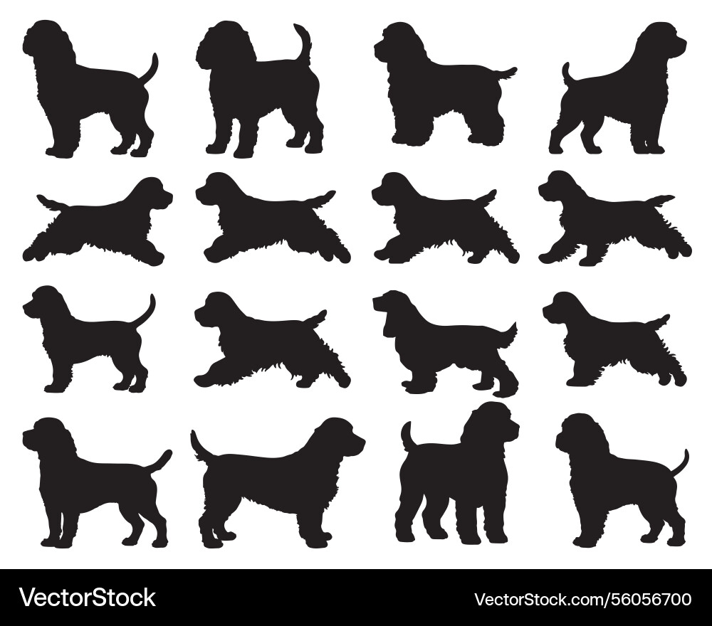 Cocker spaniel silhouette Royalty Free Vector Image