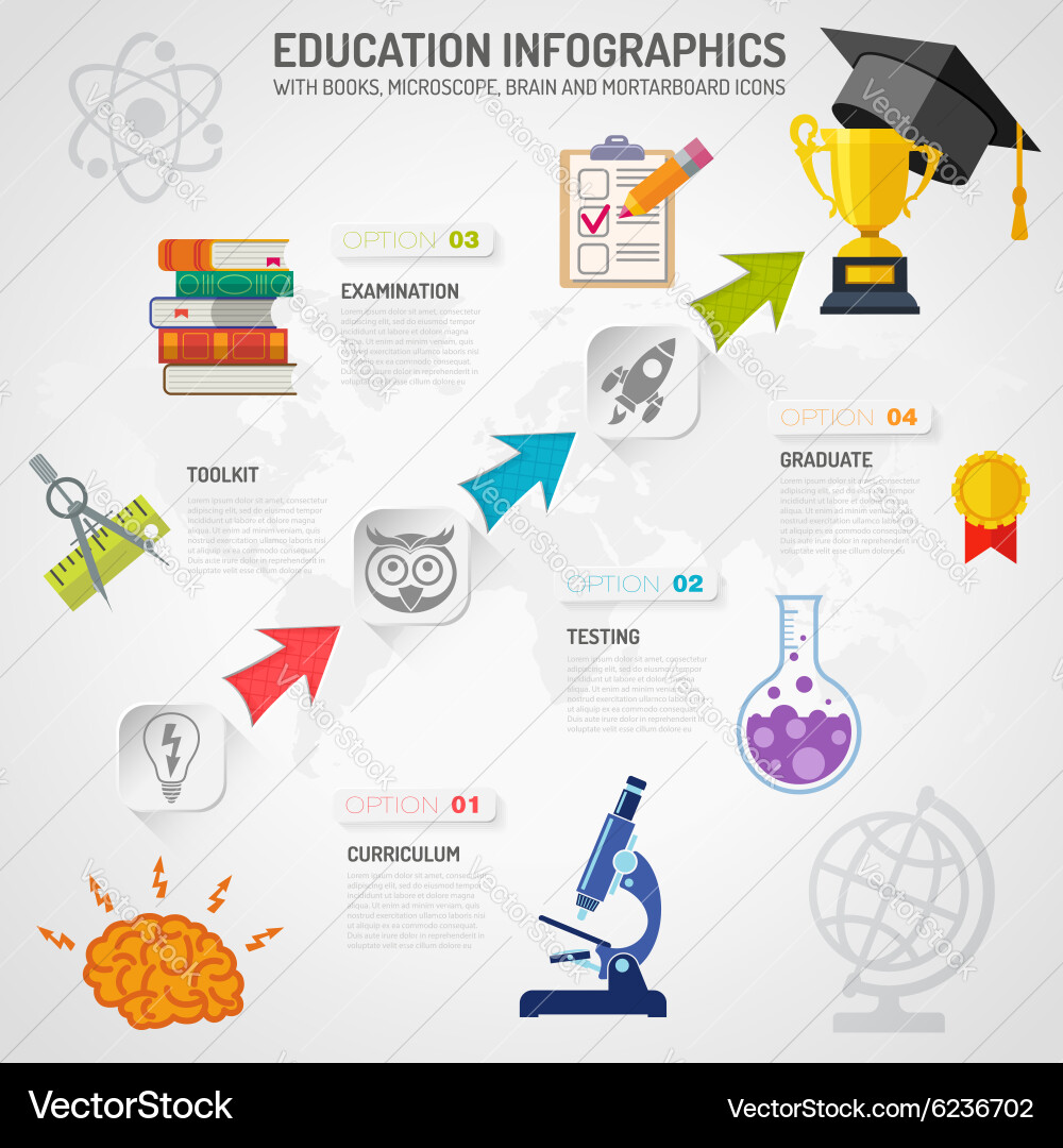 Education infographics Royalty Free Vector Image