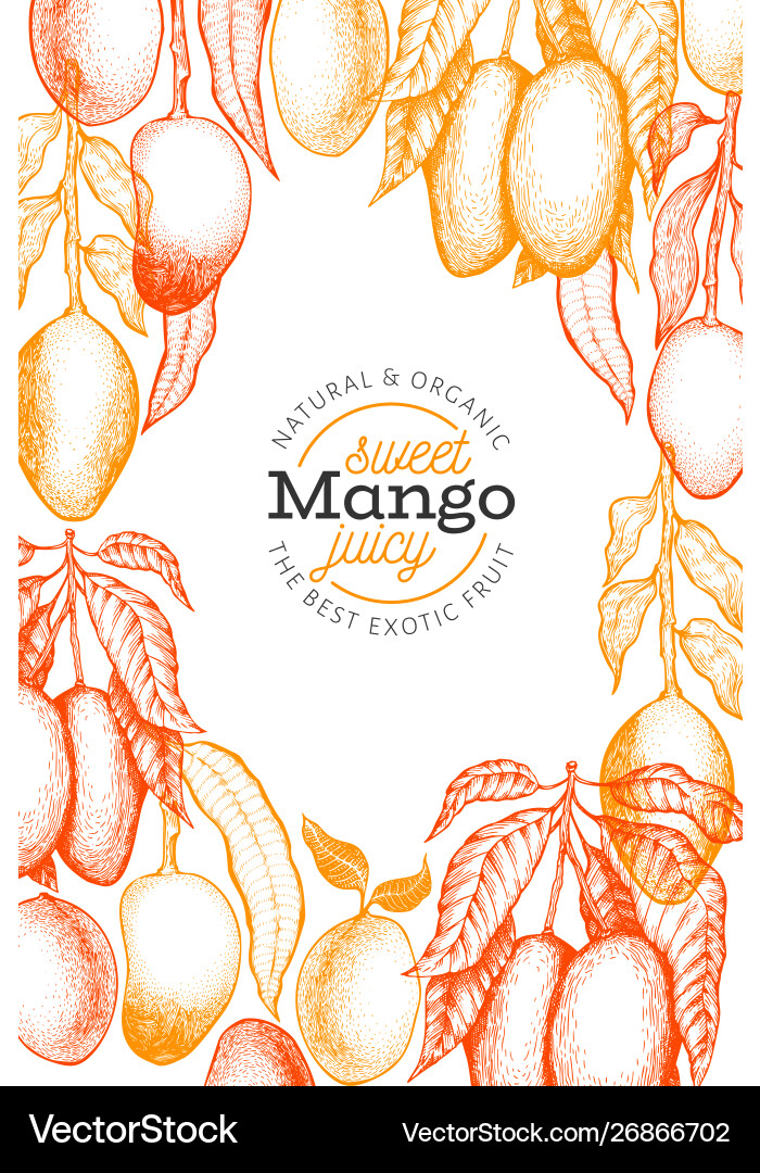 Mango design template hand drawn tropic fruit Vector Image