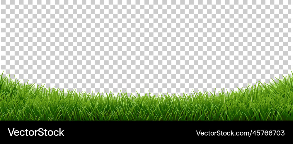 Green grass panorama isolated transparent Vector Image