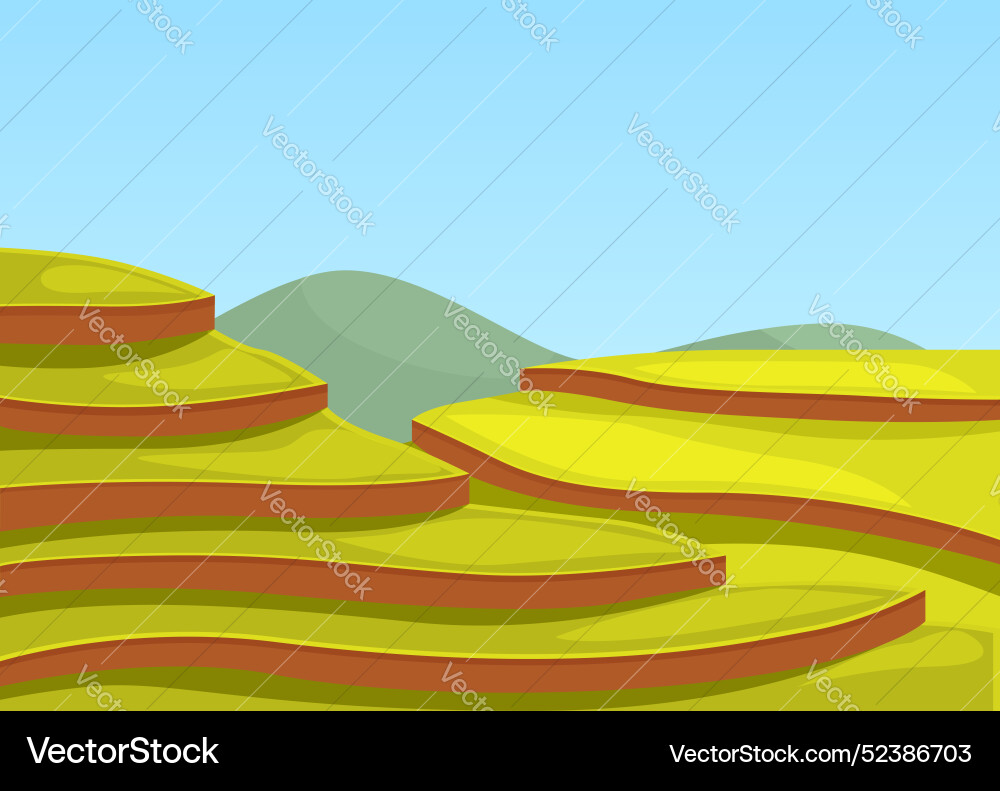 Green rice terraces forming steps in mountain Vector Image