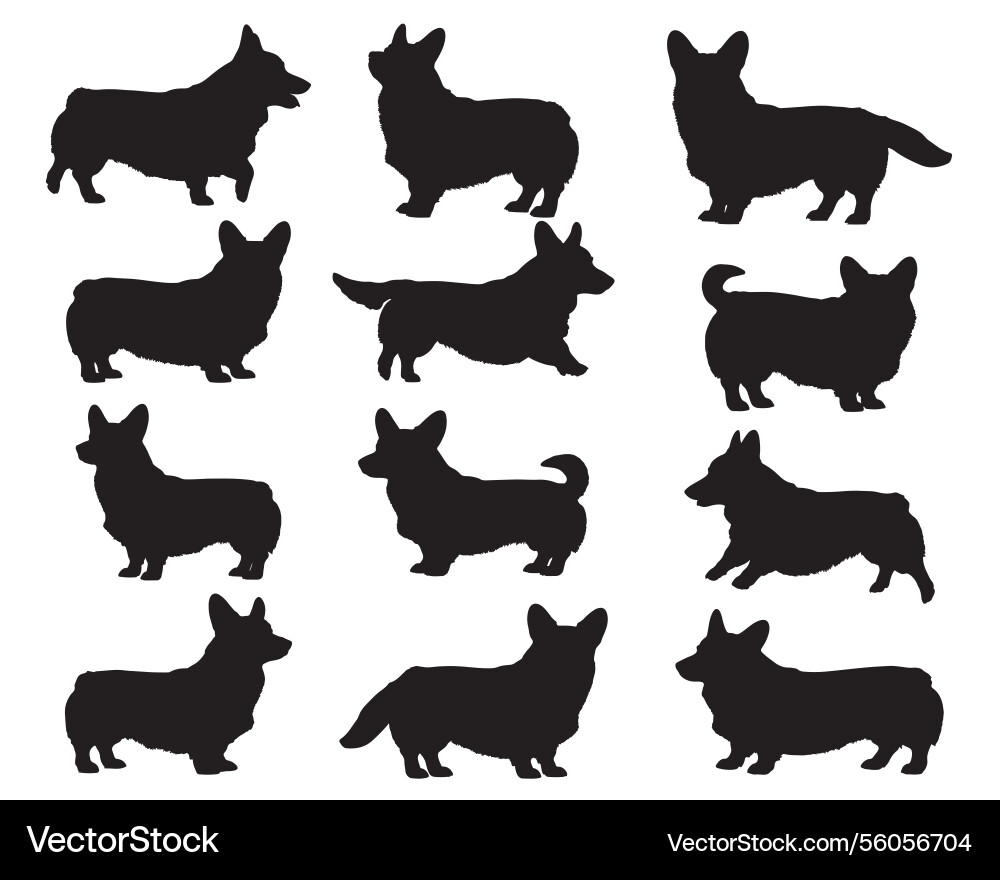 Corgi dog silhouette Royalty Free Vector Image