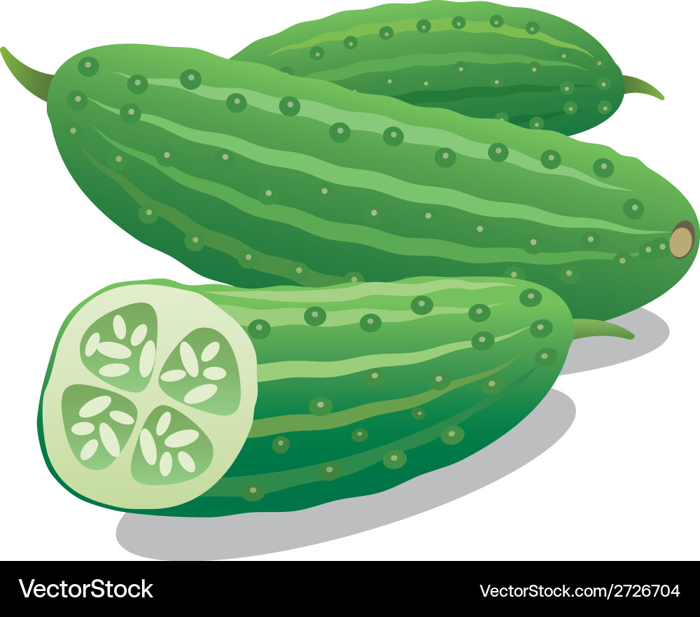 Cucumbers Royalty Free Vector Image - VectorStock