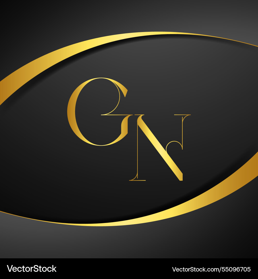 Gn luxury letter logo Royalty Free Vector Image