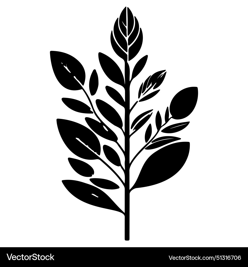 Parallel leaf plant floral sketch Royalty Free Vector Image