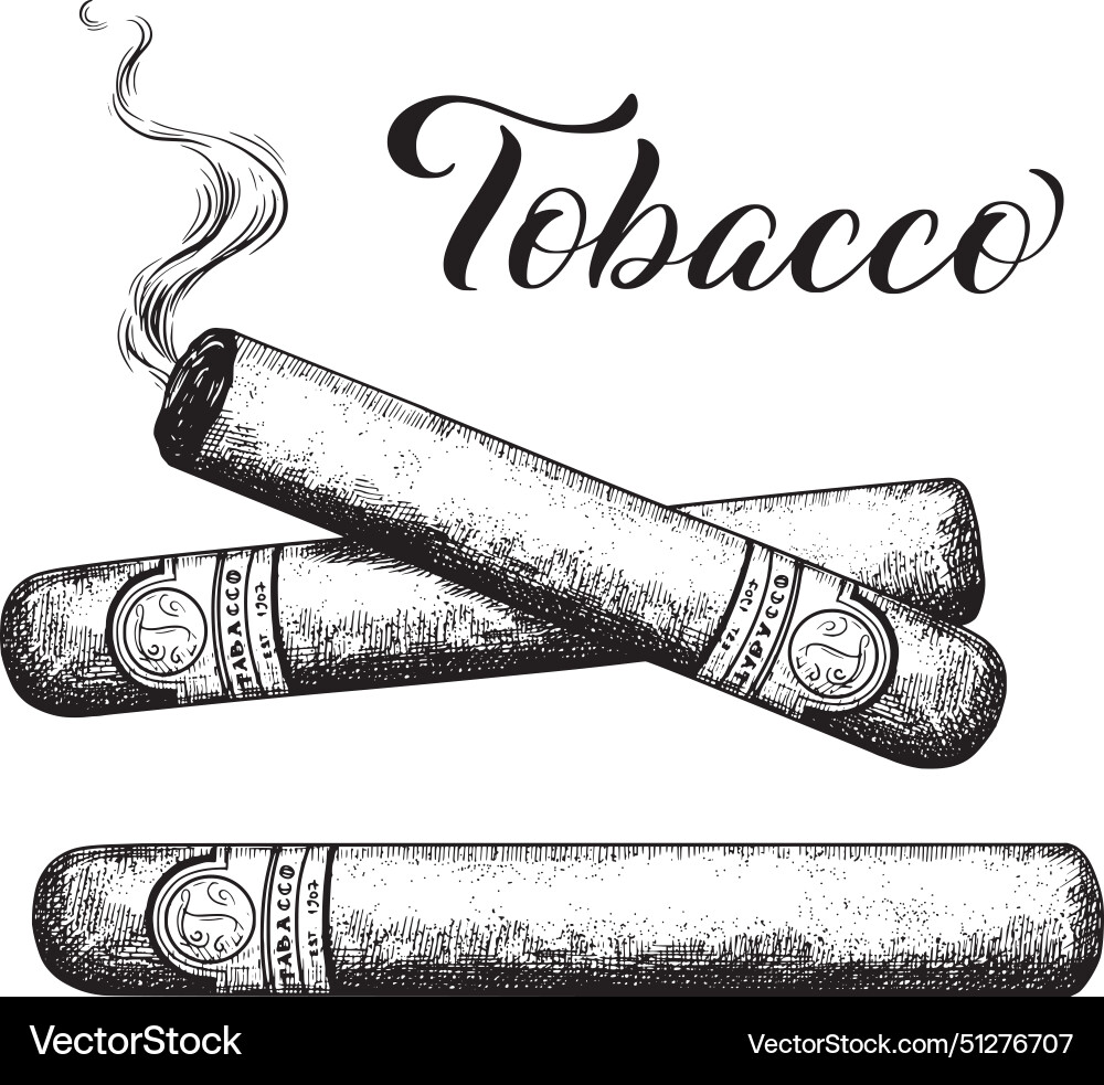 Cigar vintage sketch Royalty Free Vector Image