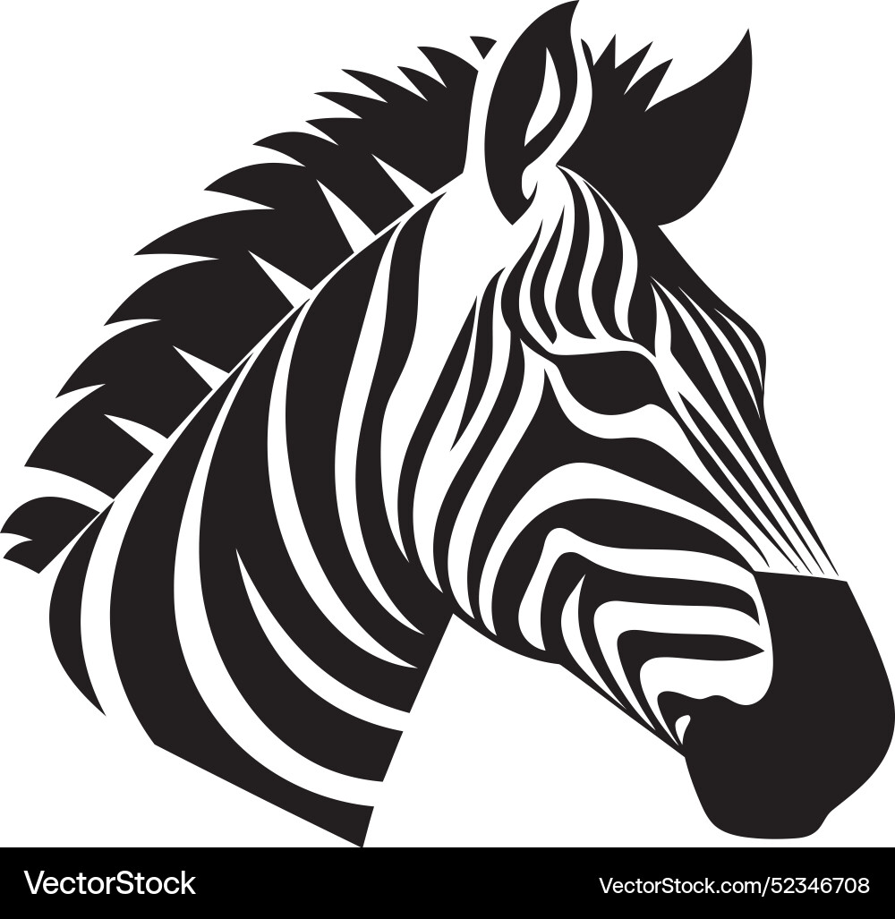 Expressive details zebra designgraphic safari Vector Image