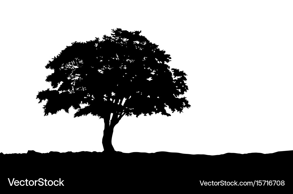 Tree on the hill silhouette Royalty Free Vector Image