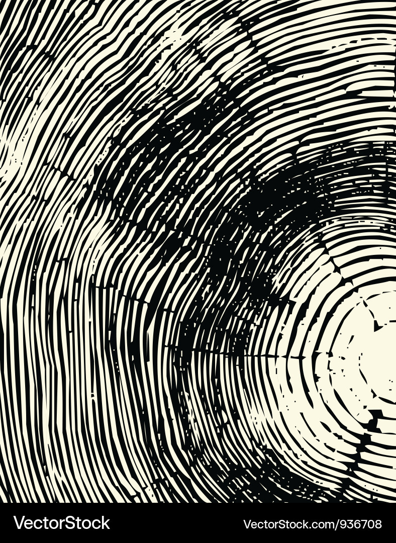 Wood cross section Royalty Free Vector Image - VectorStock