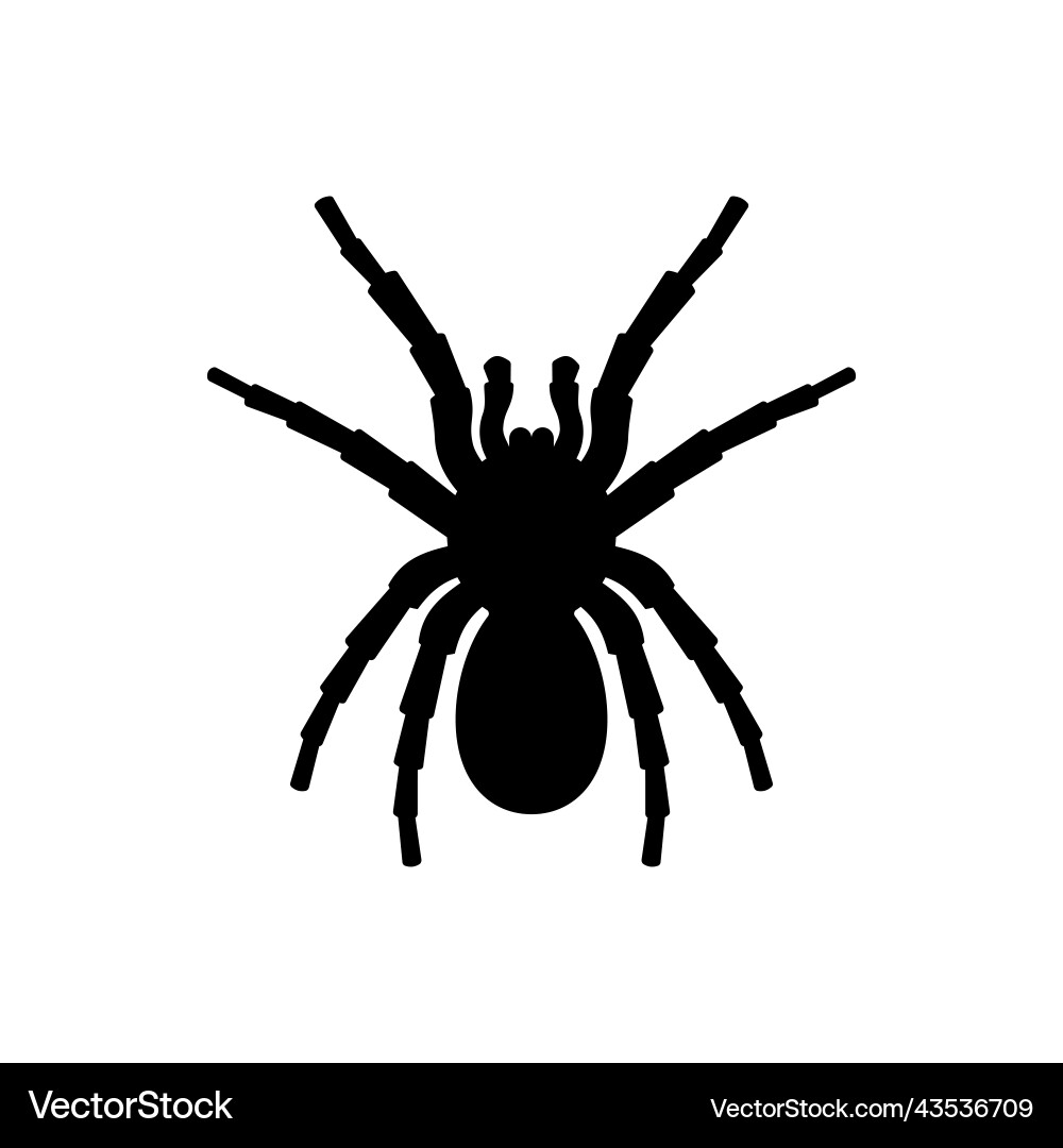 Black silhouette of tarantula spider Royalty Free Vector
