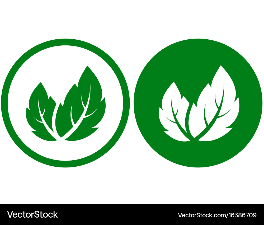 Sign with green leaves Royalty Free Vector Image