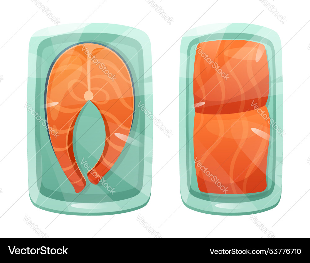 Frozen salmon fish Royalty Free Vector Image - VectorStock