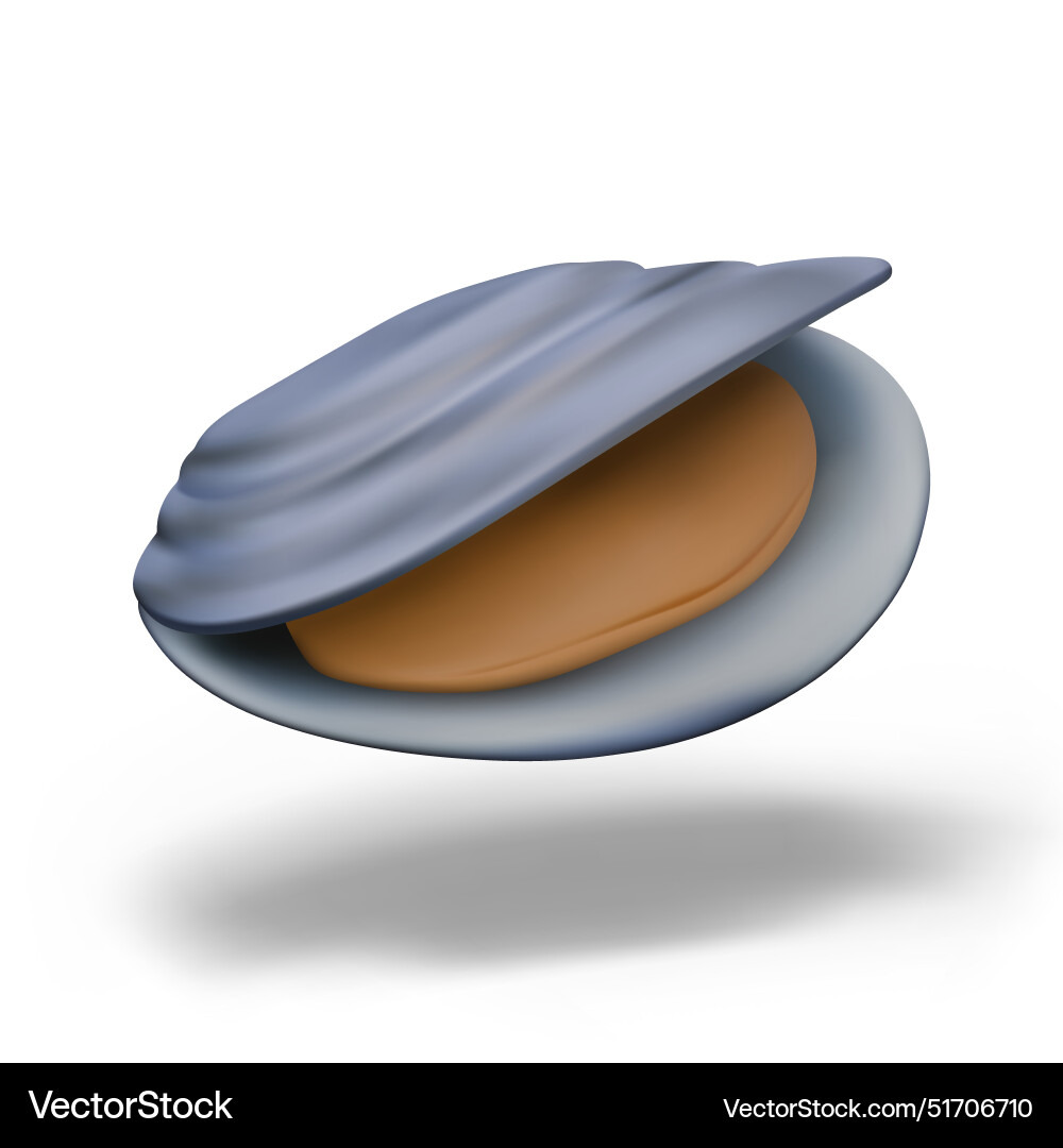 Realistic open mussel clam on white background Vector Image