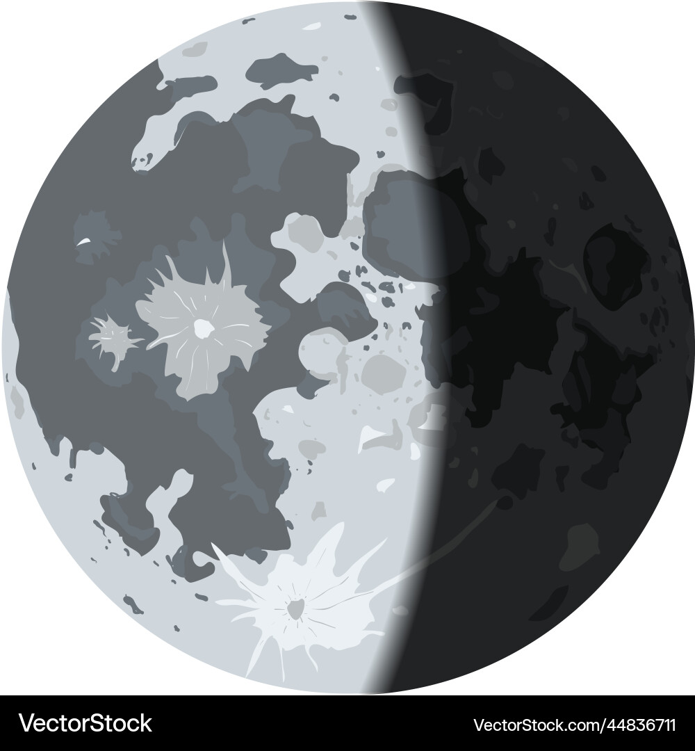 Half moon month lunar cycle phase with realistic Vector Image