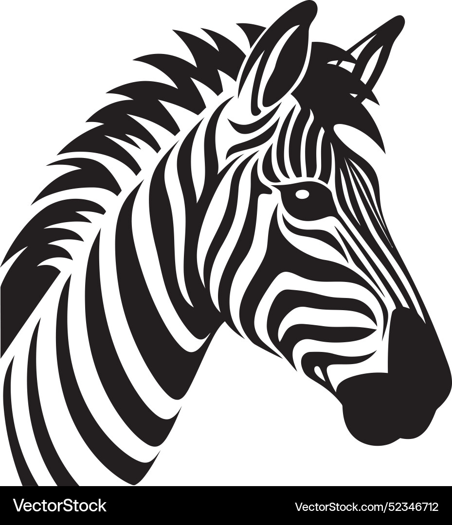 Monochrome magic zebra editiondigital precision Vector Image