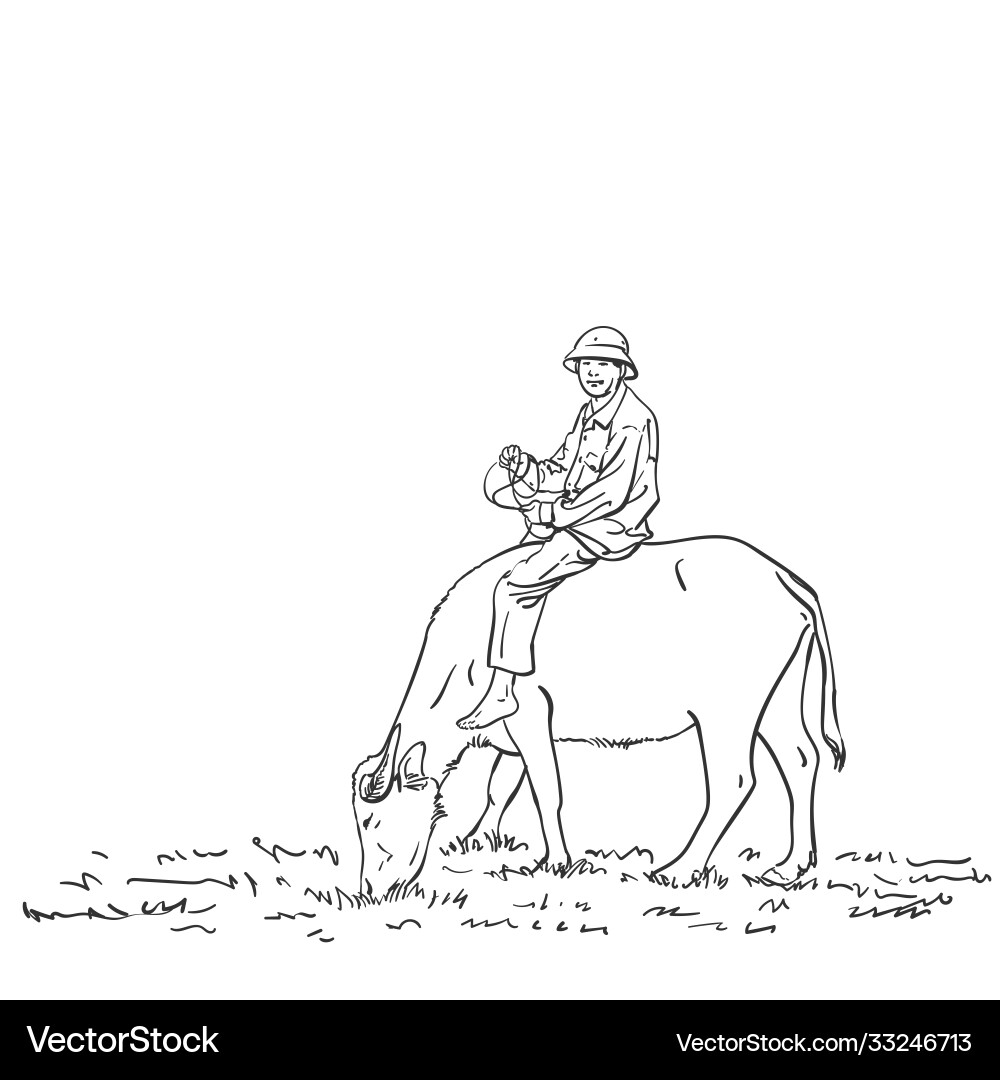 Asian farmer man is riding buffalo hand drawn Vector Image