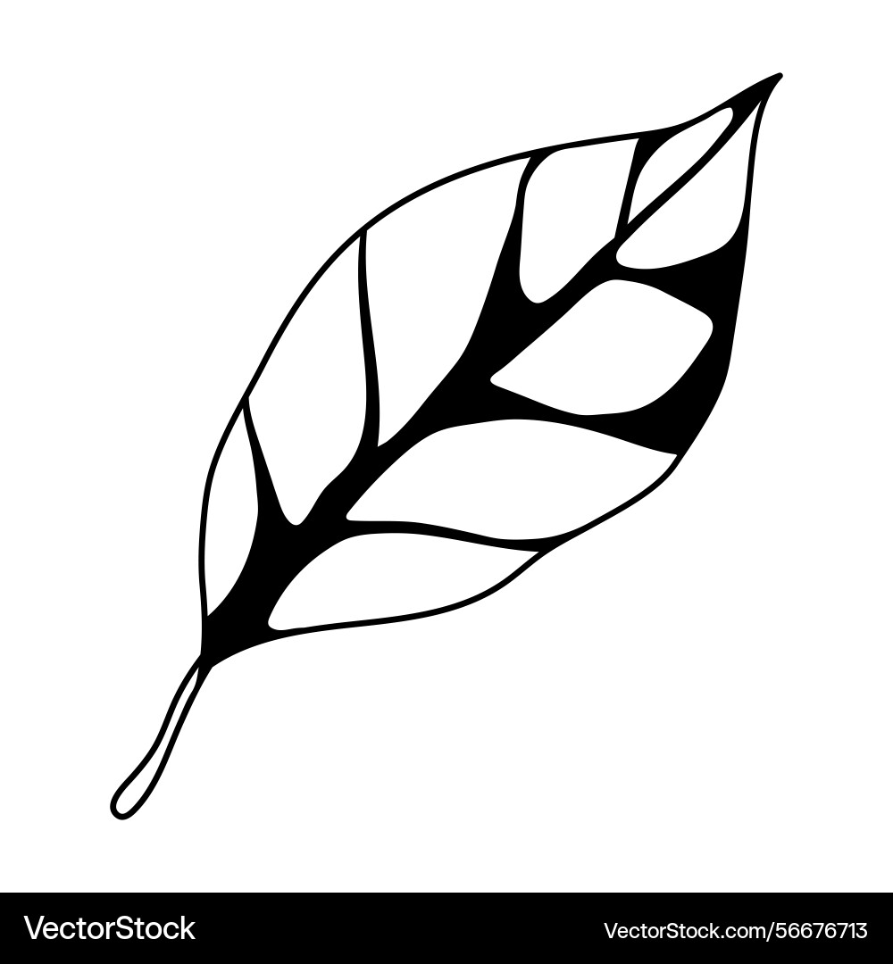 Of leaf spring or summer stylized Royalty Free Vector Image