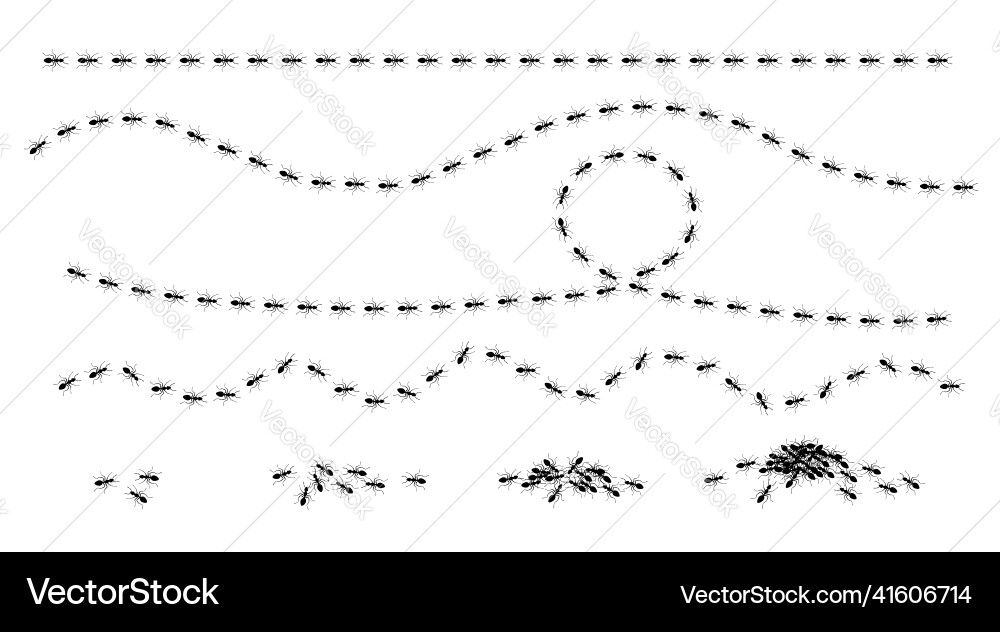 Ants trail set lines of working on white Vector Image