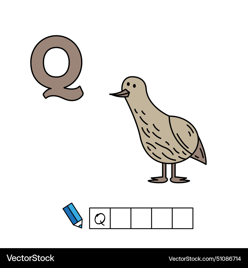 Cute cartoon animals alphabet quail Royalty Free Vector