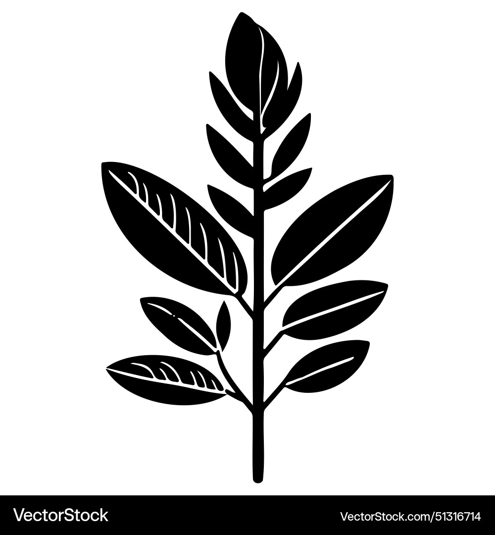 Parallel leaf plant floral sketch Royalty Free Vector Image